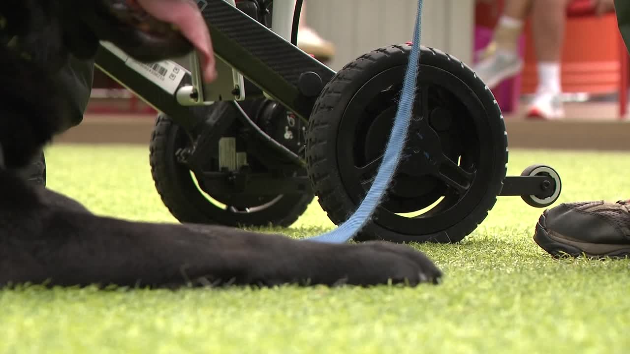 Yoda animator, filmmaker creates hero for service animals